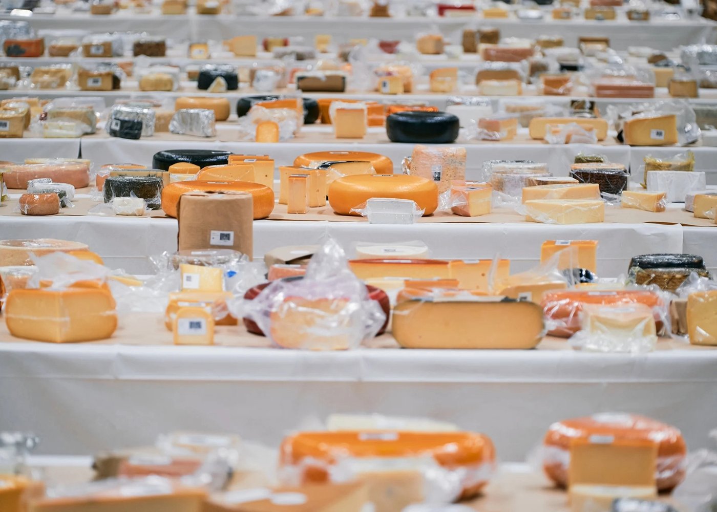 World Cheese Awards 2024 chega a Portugal: milhares de queijos para ...