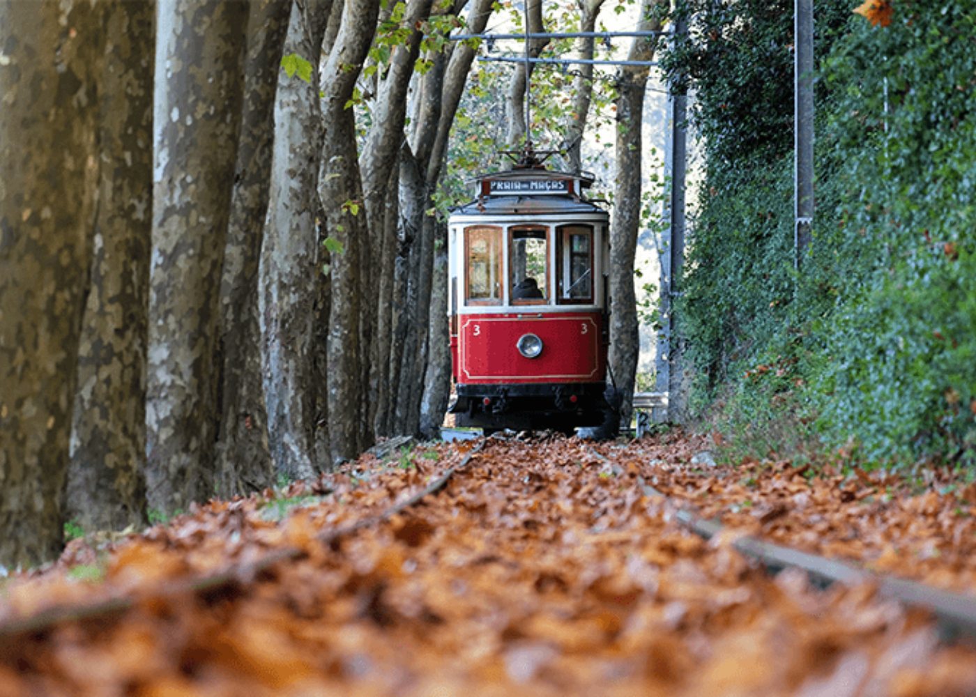 Colares: viagem serena onde a serra acaba e o mar começa